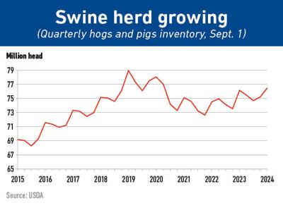 U.S. hog inventory on the rise | Livestock | farmweeknow.com