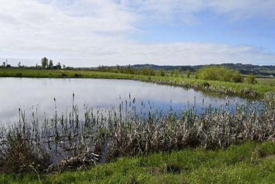 NRCS accepting applications for Wetland Reserve Easements ...