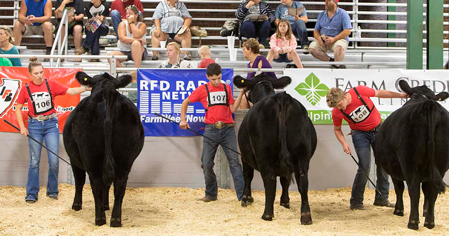 IFB to put junior livestock showmen in State Fair spotlight | Livestock ...