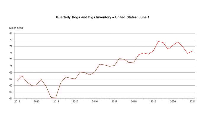 Hog prices forecast at seven-year high; herd growth minimal | Livestock ...