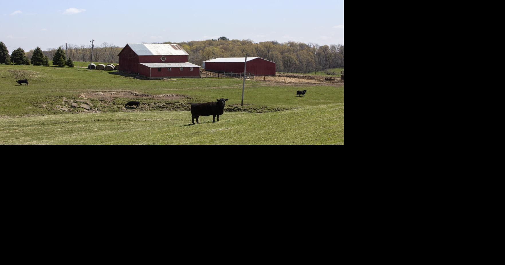 Illinois farm photos: March-April 2021 | | farmweeknow.com