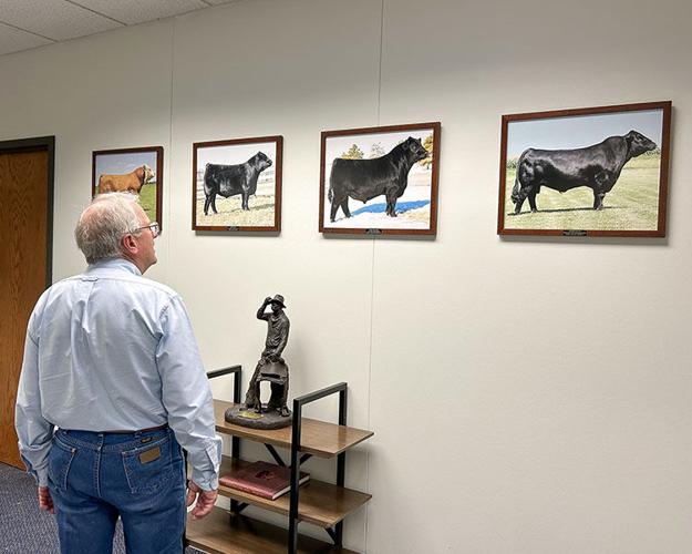 New IBA leader says policy work, youth outreach key | Livestock ...