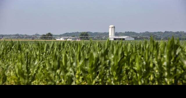 Listen to Ken Taake's interview with RFD Radio Network's Rita Frazer ...