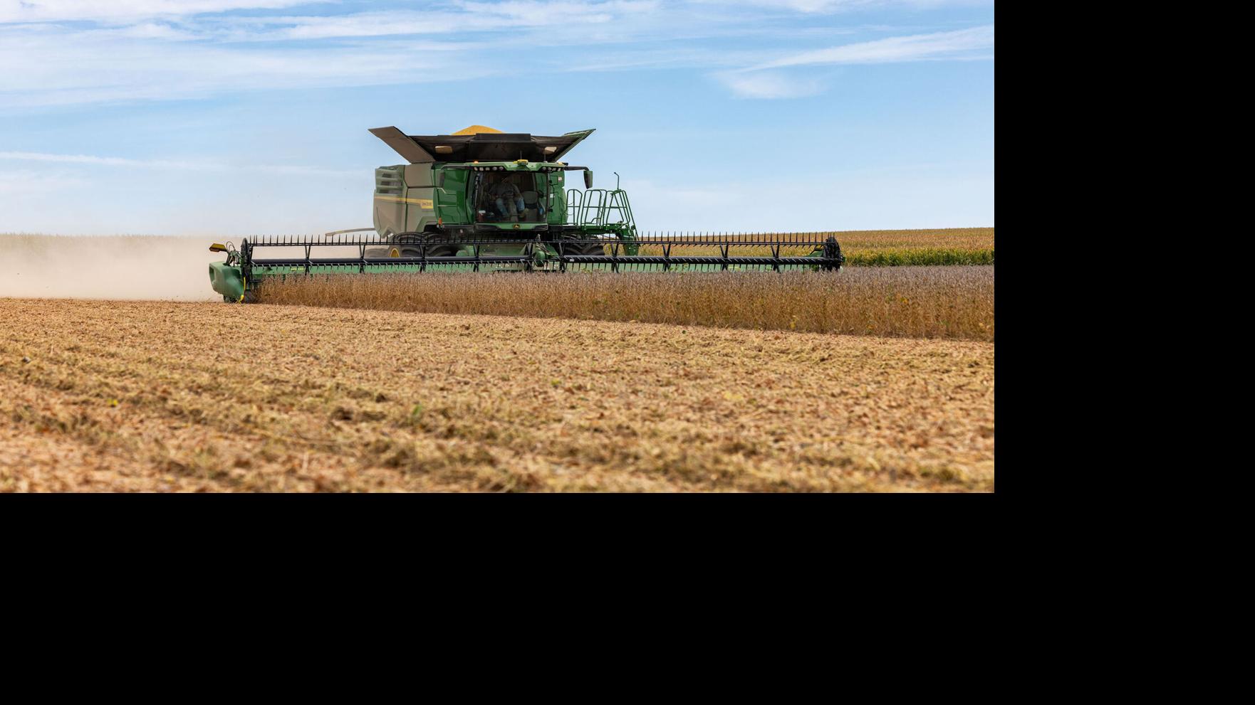 soybean pod count yield
