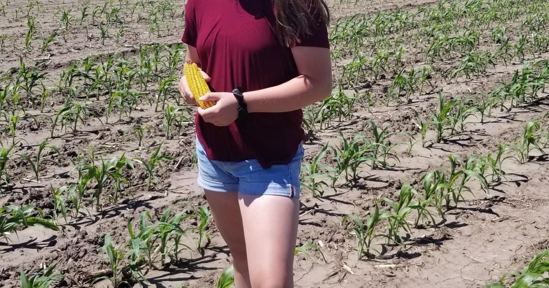 IAITC taking educators to the farms virtually | General | farmweeknow.com