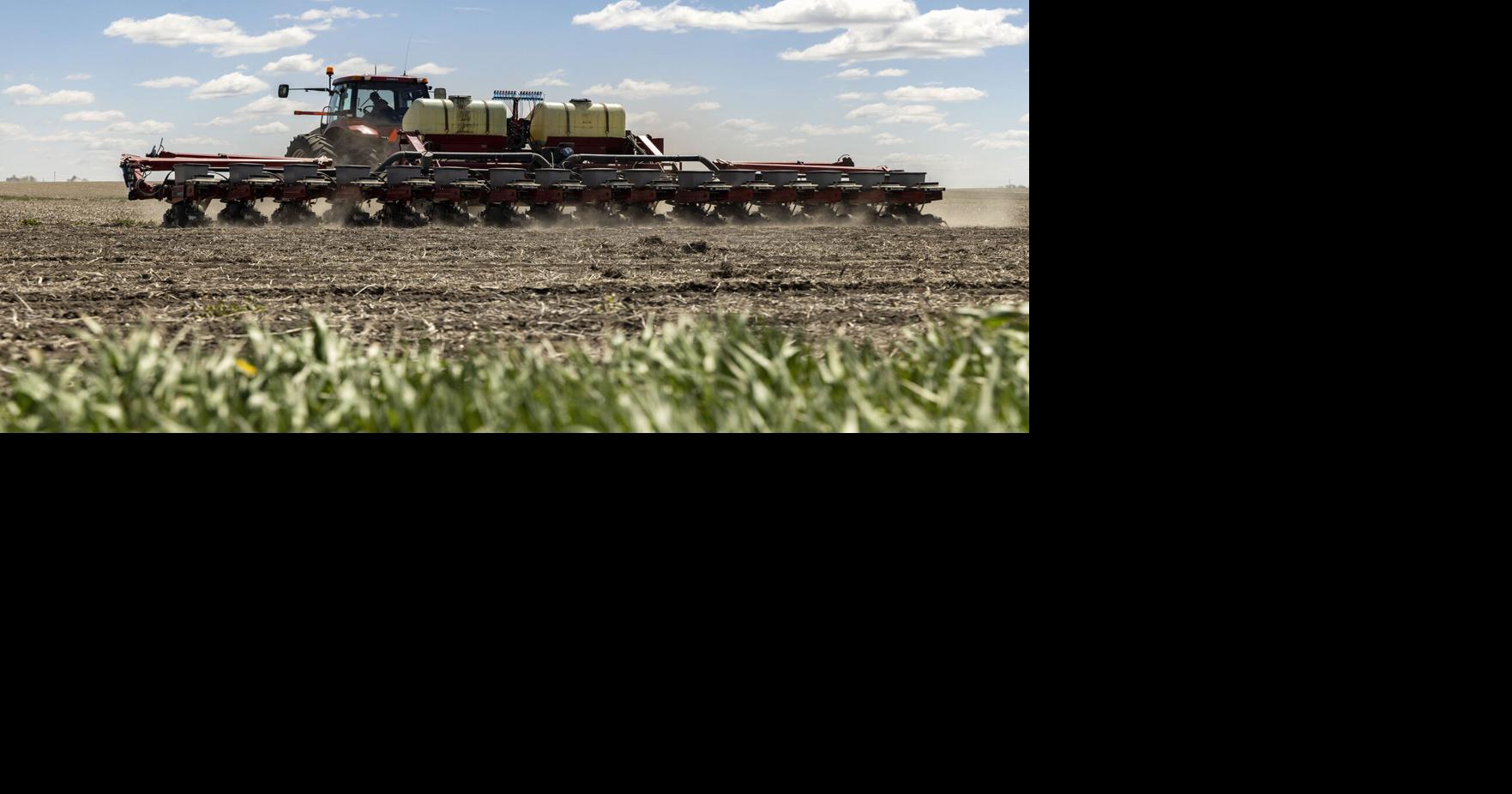 Planting surpasses three-quarters mark; crop emergence accelerates ...