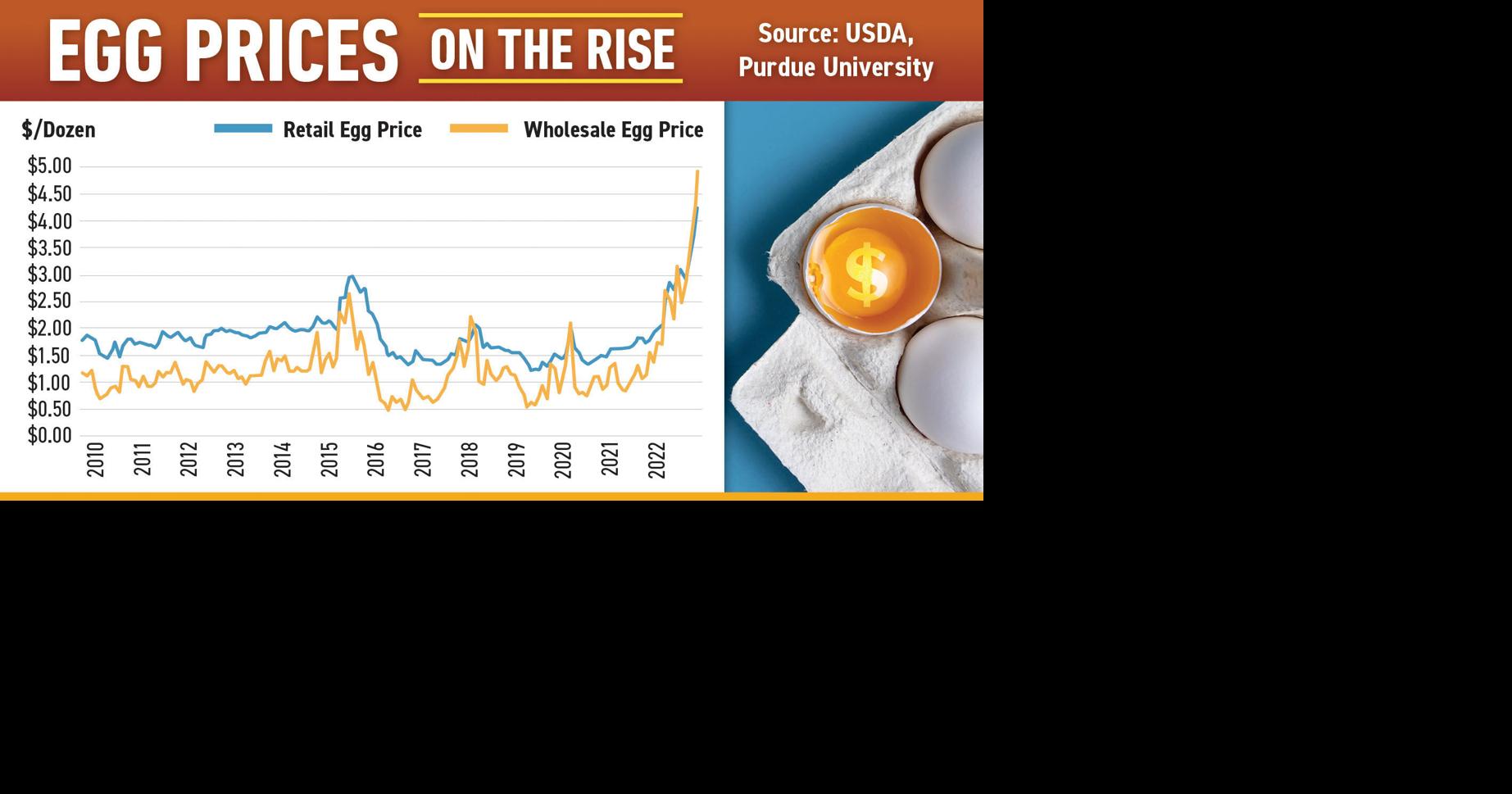 Economists crack egg price controversy | Profitability | farmweeknow.com
