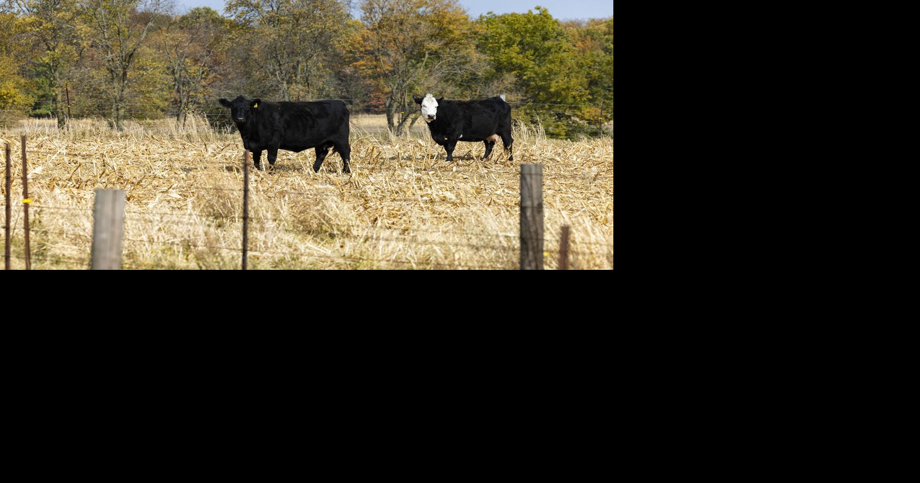 Fall farm scenes around Illinois | | farmweeknow.com