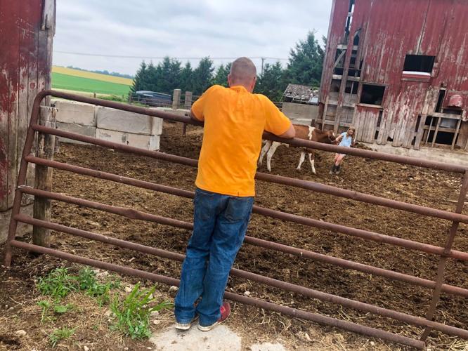 IFB director: Complacency a farmer's worst enemy | General ...