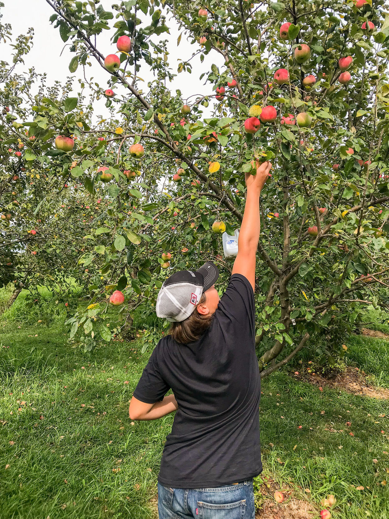 Specialty crop diversity, demand keep Rock Island County farm family ...