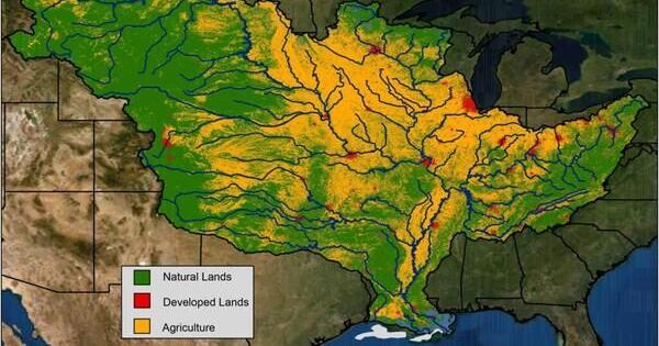 NCCOS forecasts smaller than average 'dead zone' for Gulf of Mexico ... NCCOS forecasts smaller than average 'dead zone' for Gulf of Mexico ...