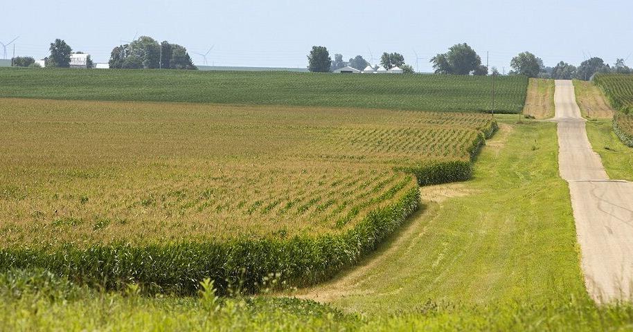 ISPFMRA: Farmland values holding steady | Profitability | farmweeknow.com