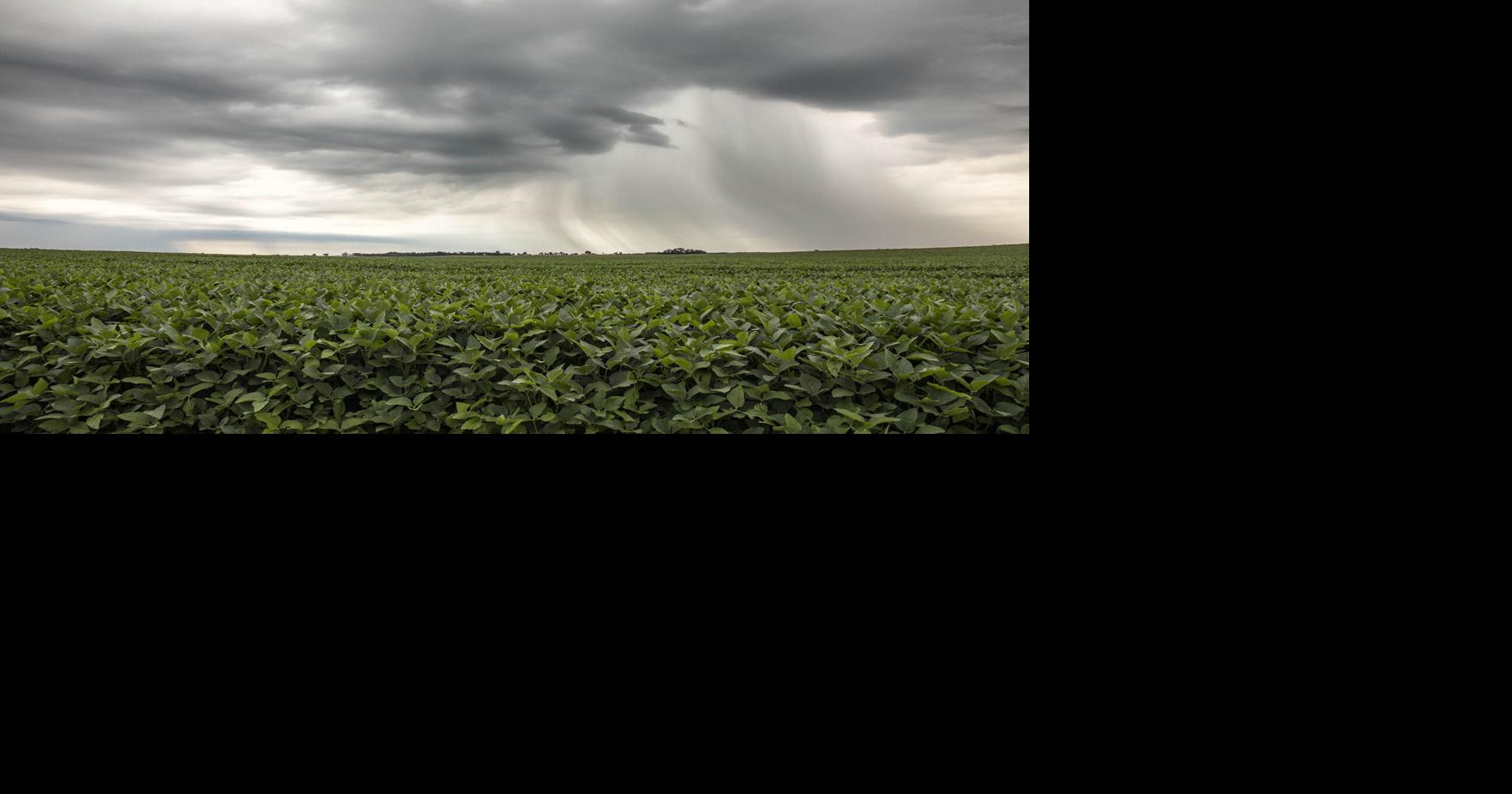 Farmers 'keep your eye on the sky' | | farmweeknow.com