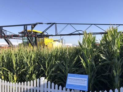 Limited launch of Preceon 'short corn' planned for 2024 | Profitability ...