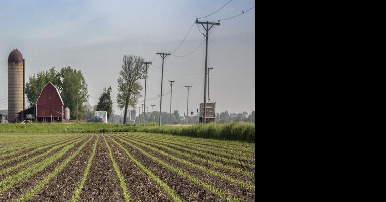 USDA announces $6 billion in farmer assistance | National | farmweeknow.com