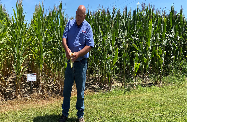 Nutrient management critical in prevent plant situations ...