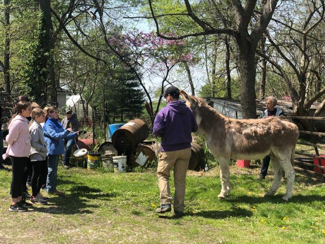 Photos: Fourth-grade farm tours at Hadden Farm | | farmweeknow.com