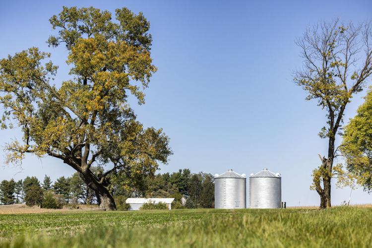 Fall farm scenes around Illinois | | farmweeknow.com