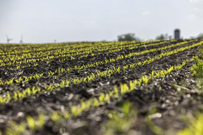 Planting delays? Check labels about soil-residual herbicide use ...