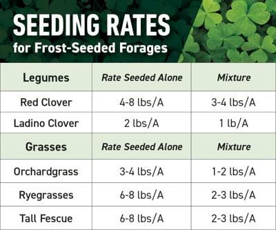 Frost seeding a low-input option to improve pastures | Perspectives ...
