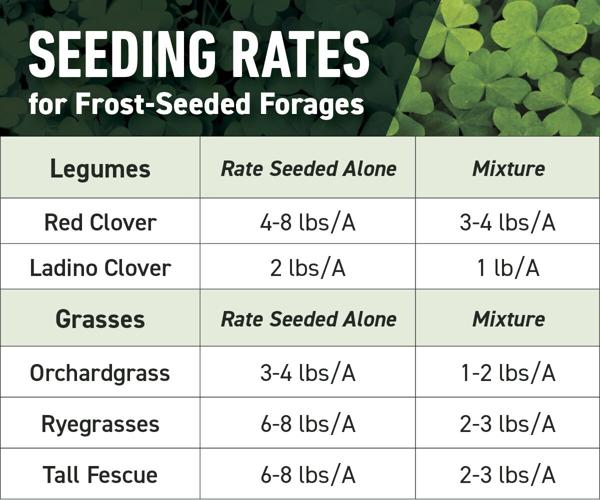 Frost seeding a low-input option to improve pastures | Perspectives ...