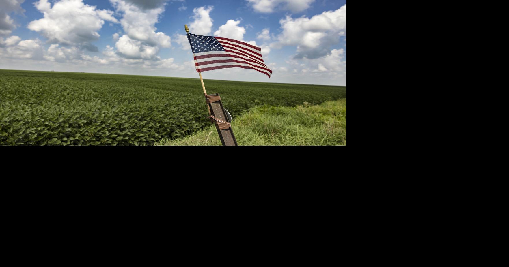 USDA releases adjusted 2025 farm income forecast | Profitability ...