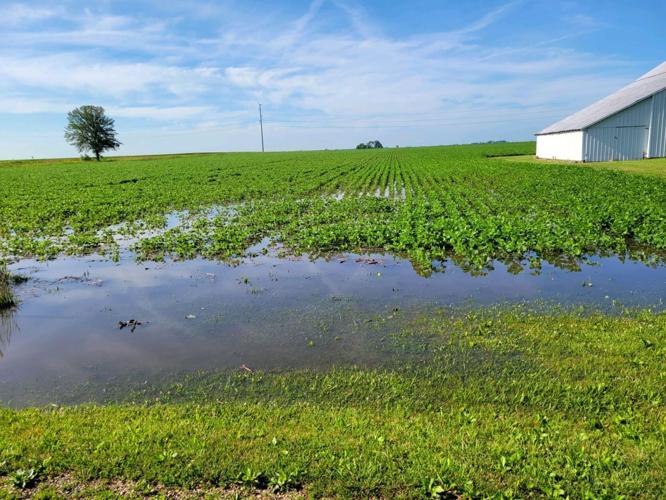 Central Illinois rivers, creeks overflow from heavy rains | General ...