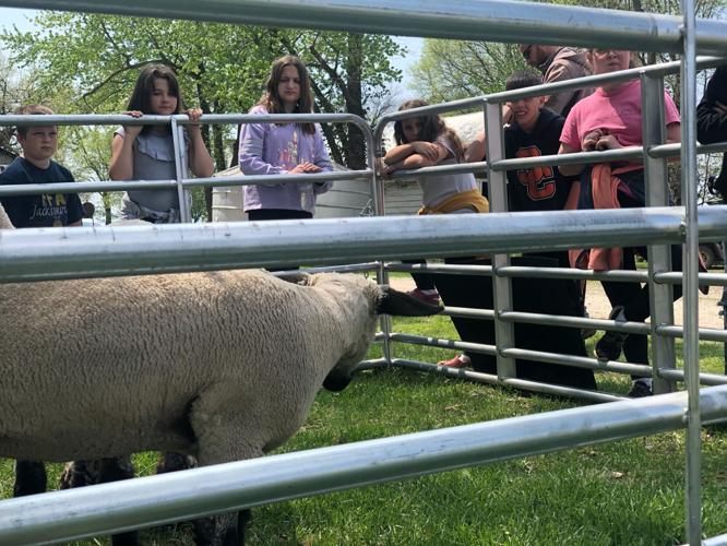 Photos: Fourth-grade farm tours at Hadden Farm | | farmweeknow.com