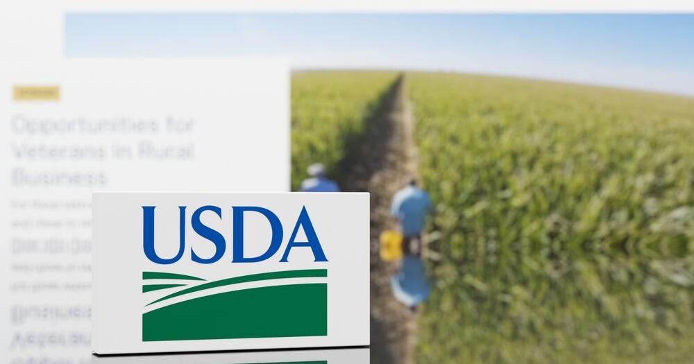 USDA to release November crop production report | Crop Conditions ...