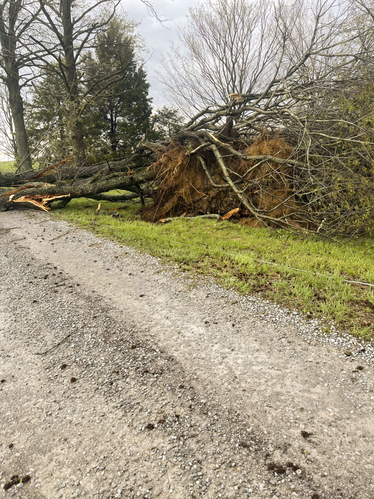 Storms cause severe damage in southern Illinois | General | farmweeknow.com