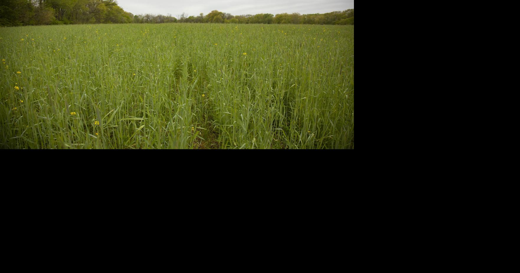 USDA overhauls climate-smart commodities program | National ...