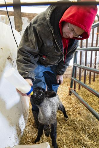 Pollard brings millennial voice to IFB Board | General | farmweeknow.com