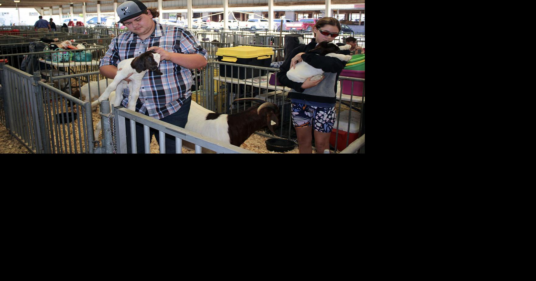 New spring livestock show debuts | General | farmweeknow.com
