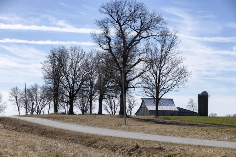 USDA predicts bump in crop acres, lower farm income | Profitability ...