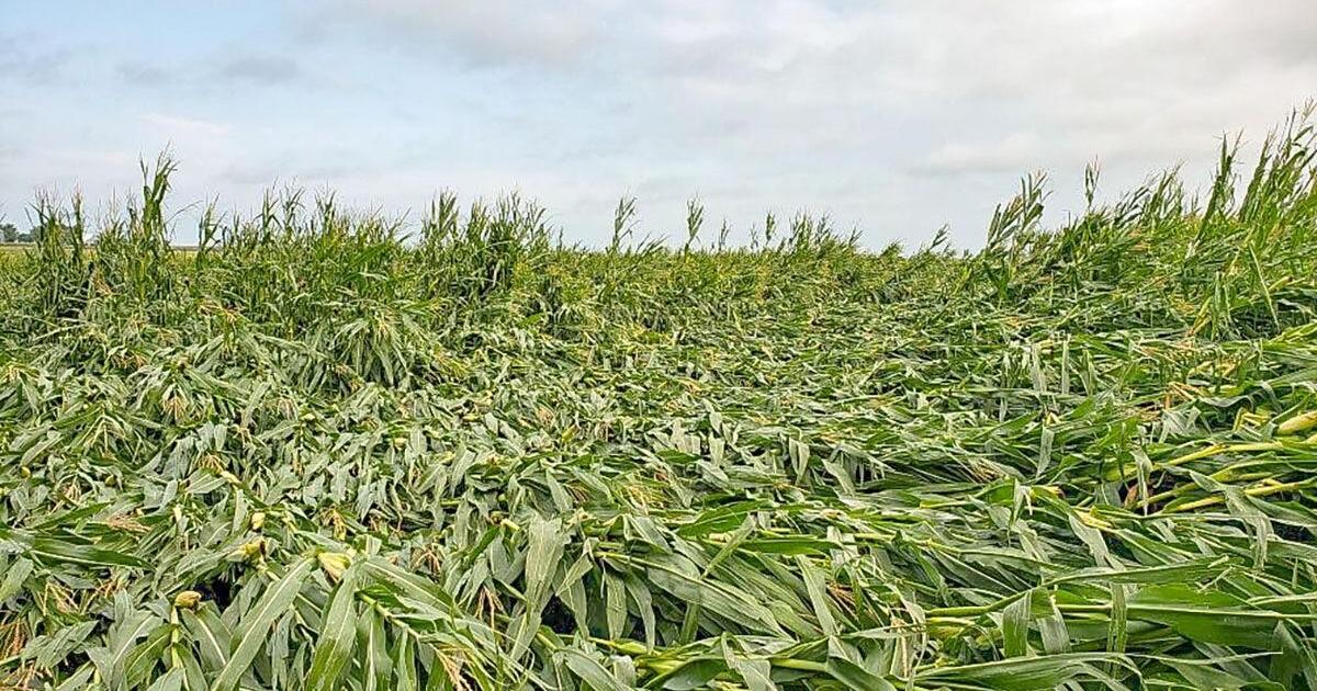 Measure passes changing wind and hail coverage mandates | State ...