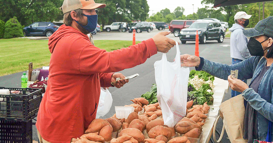 From A to Z: Vegetable bonanza grows on Union County’s Sweitzer Farm ...