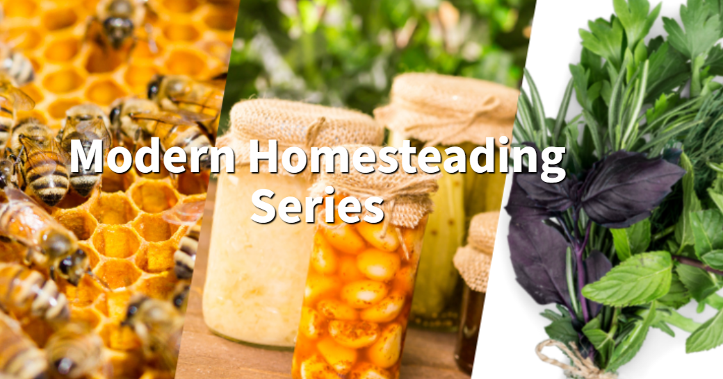 Extension hosts modern homesteading series in 2024 | General ...