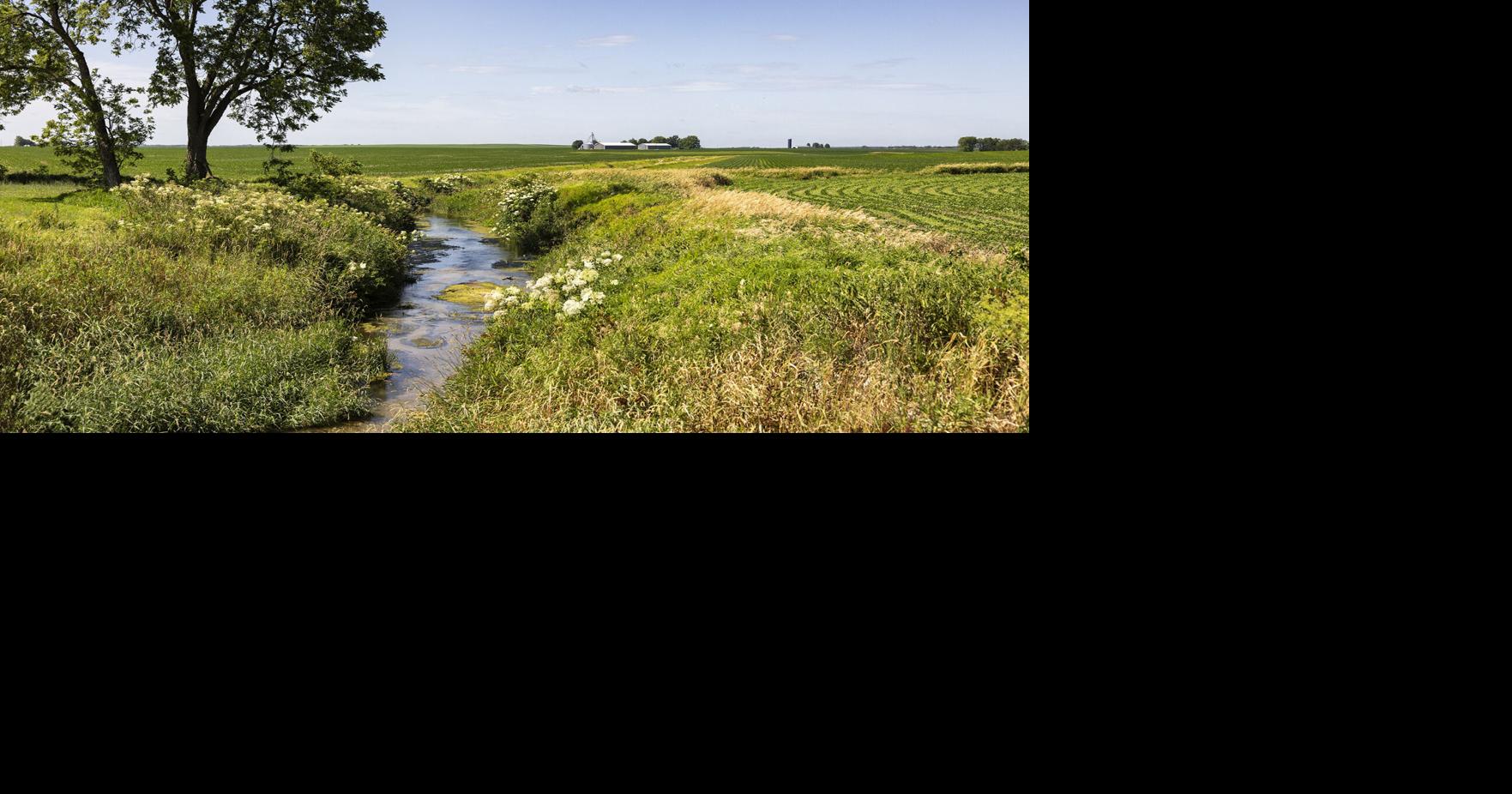 Famers share experiences with edge of field practices | Environmental ...