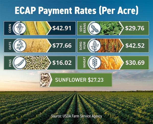 USDA makes $10 billion in economic aid available | Profitability ...