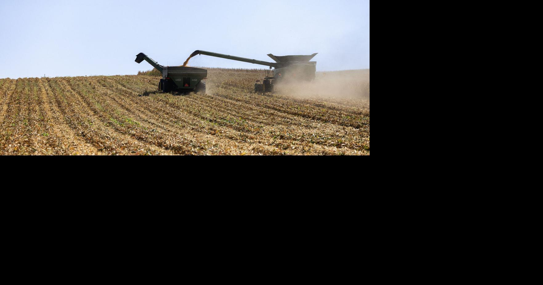 USMCA dispute decision a win for Illinois corn farmers | National | farmweeknow.com