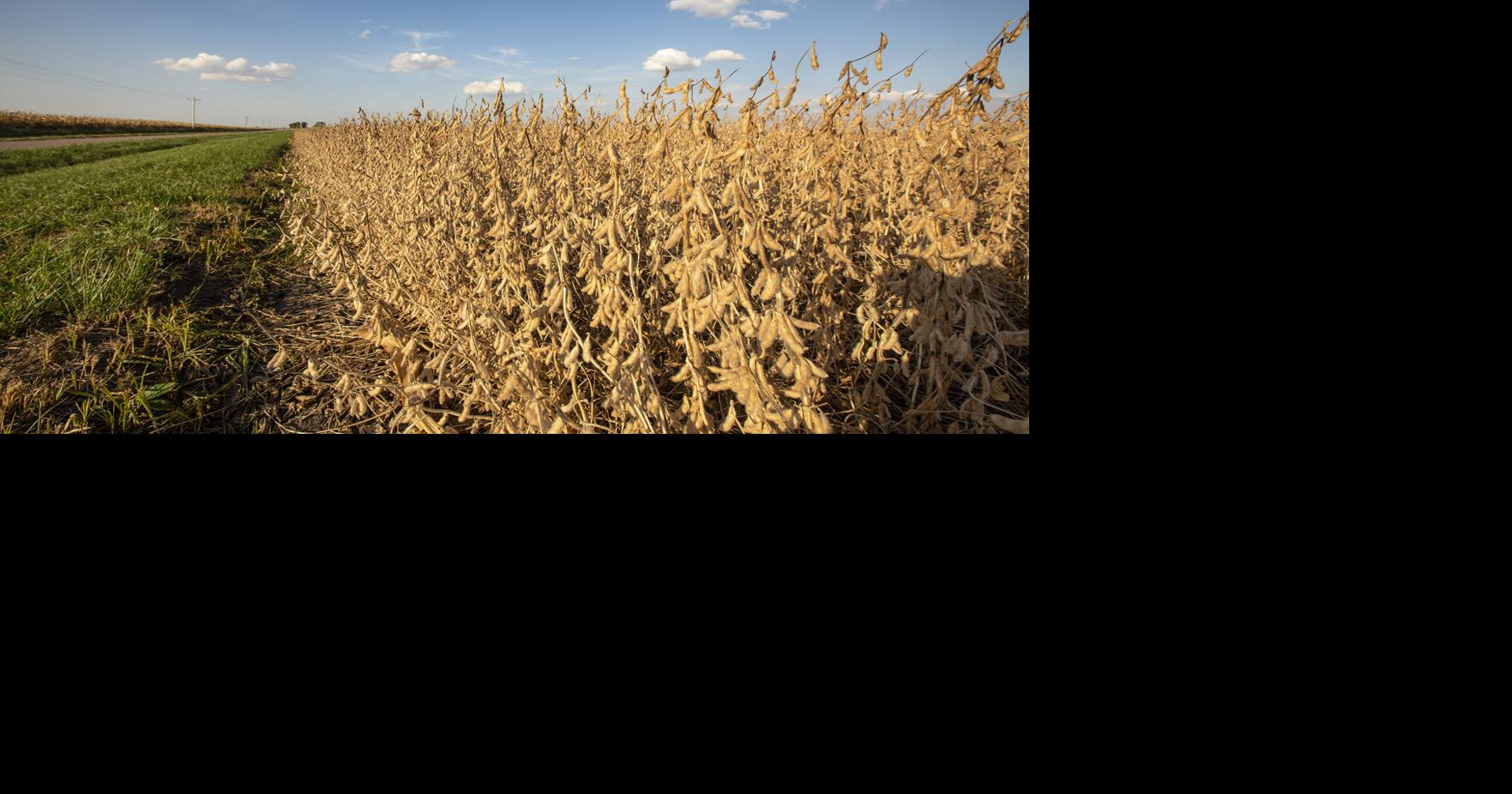 Soybean growers' impact doubled at Commodity Classic | General ...