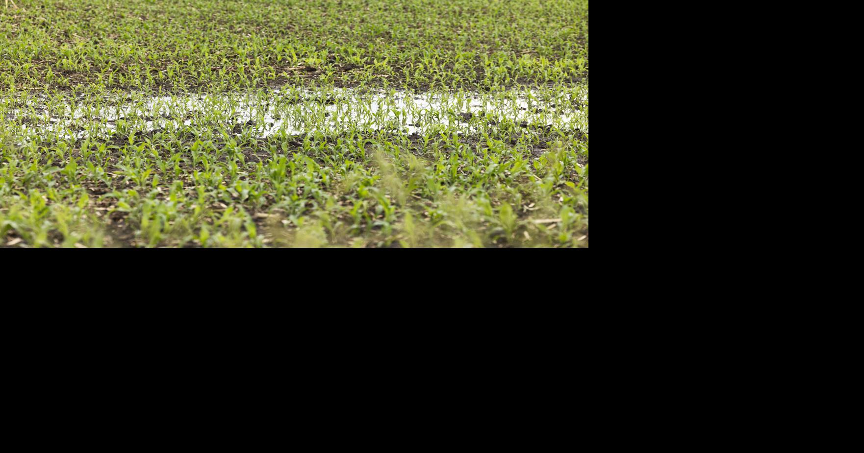 Planting season drags on in eastern Corn Belt | | farmweeknow.com