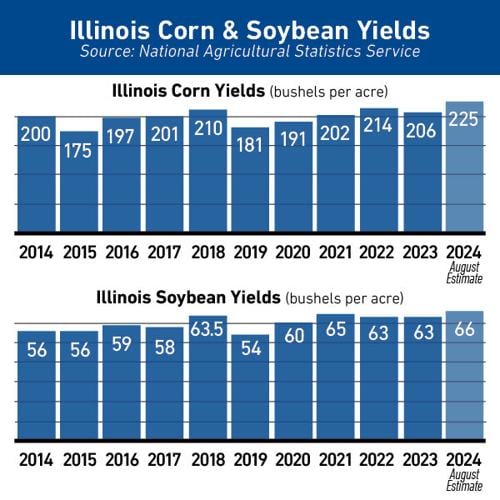 USDA forecasts record corn and soybean yields | Profitability ...