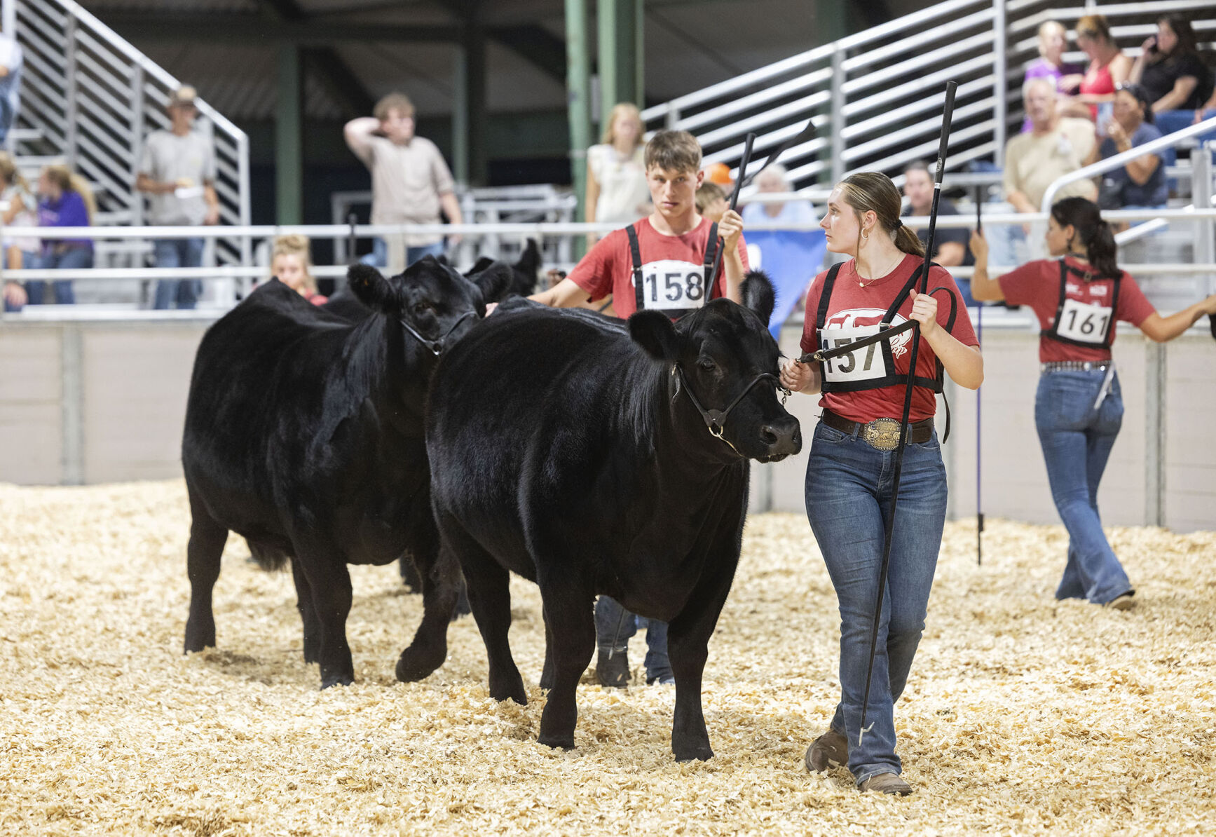 Winners of 25th Illinois State Fair Master Showmanship Contest ...