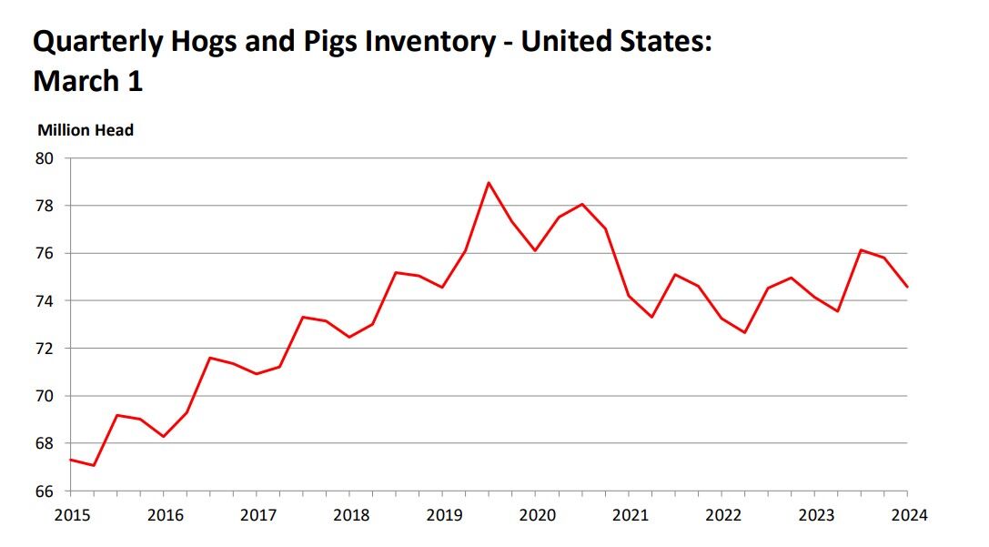 Productivity increase boosts pig inventory | Livestock | farmweeknow.com