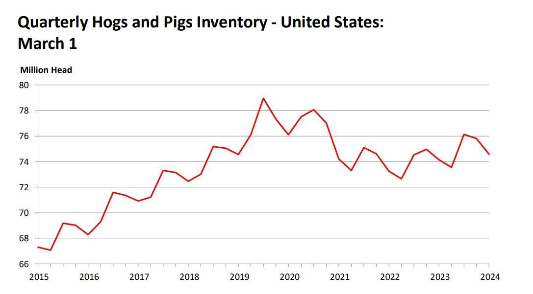 Productivity increase boosts pig inventory | Livestock | farmweeknow.com
