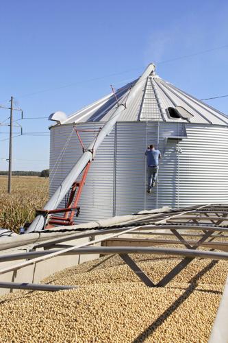 Recent farm accidents alert safety experts | General | farmweeknow.com