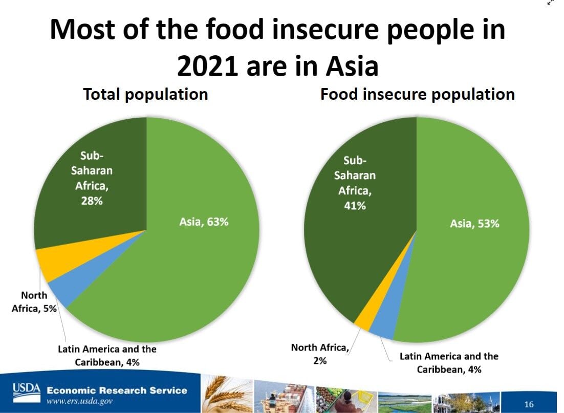 Report shows increased international food insecurity | National ...