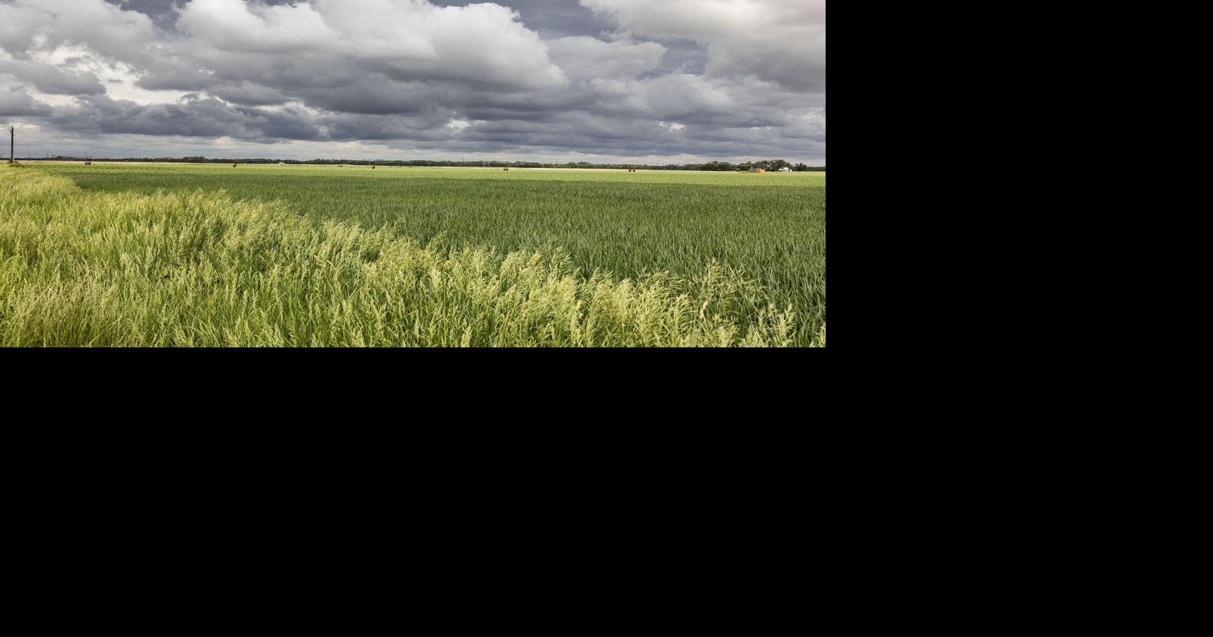 Shifting weather patterns moving 'tornado alley' east | General ...