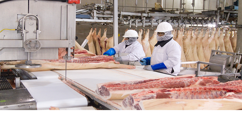Action urged to address line speeds at hog processing plants | National ...